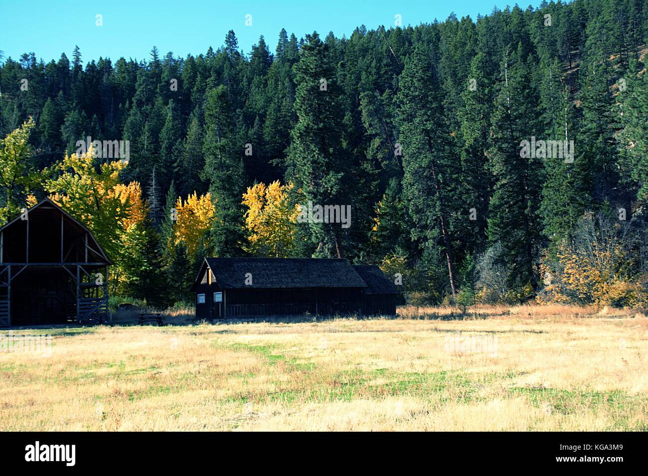 An amazing/ beautiful hiking at Fintry provincial park,British columbia ...