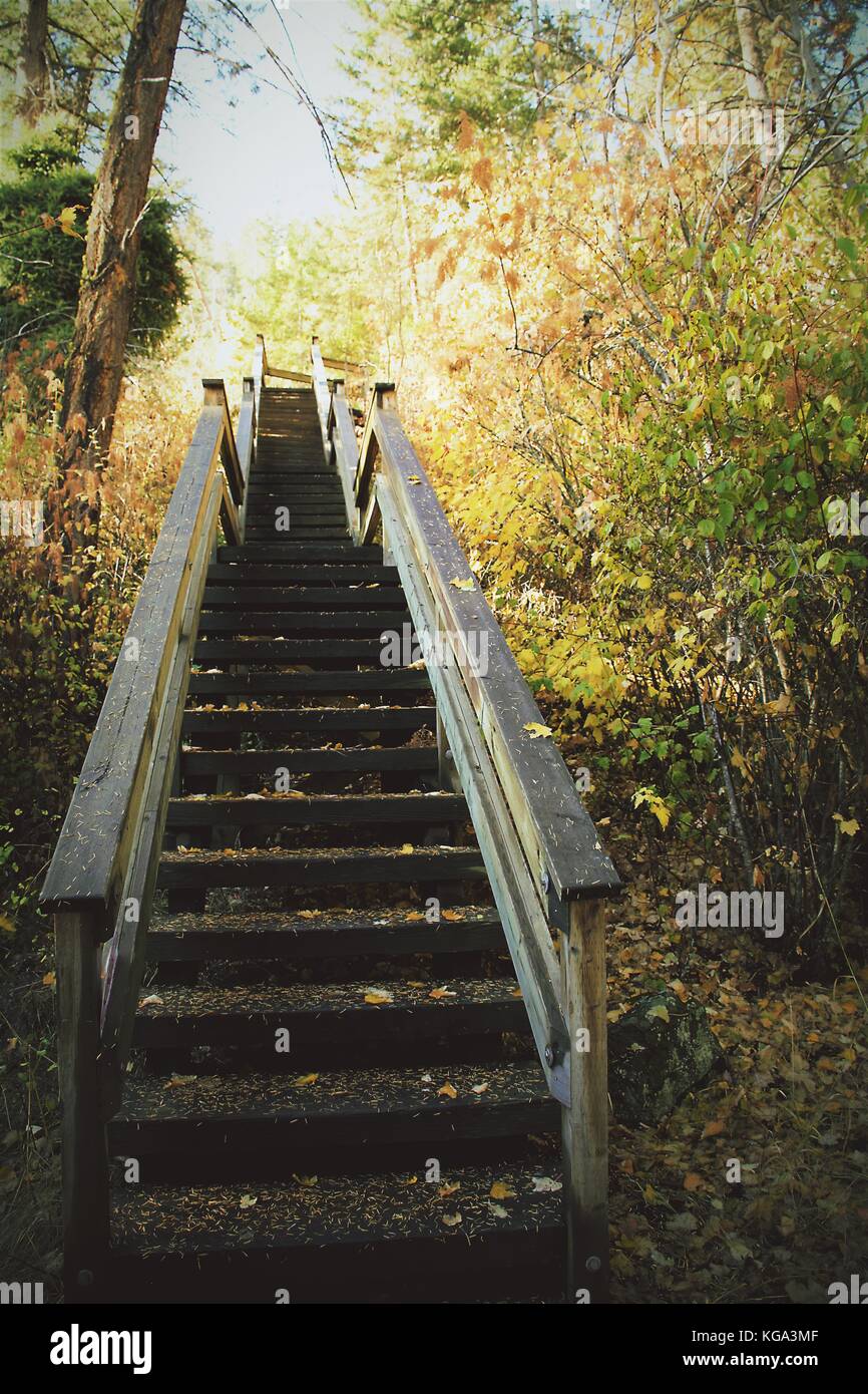 An amazing/ beautiful hiking at Fintry provincial park,British columbia ...