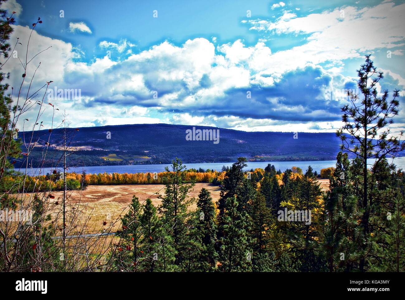 Fintry provincial park hi-res stock photography and images - Alamy