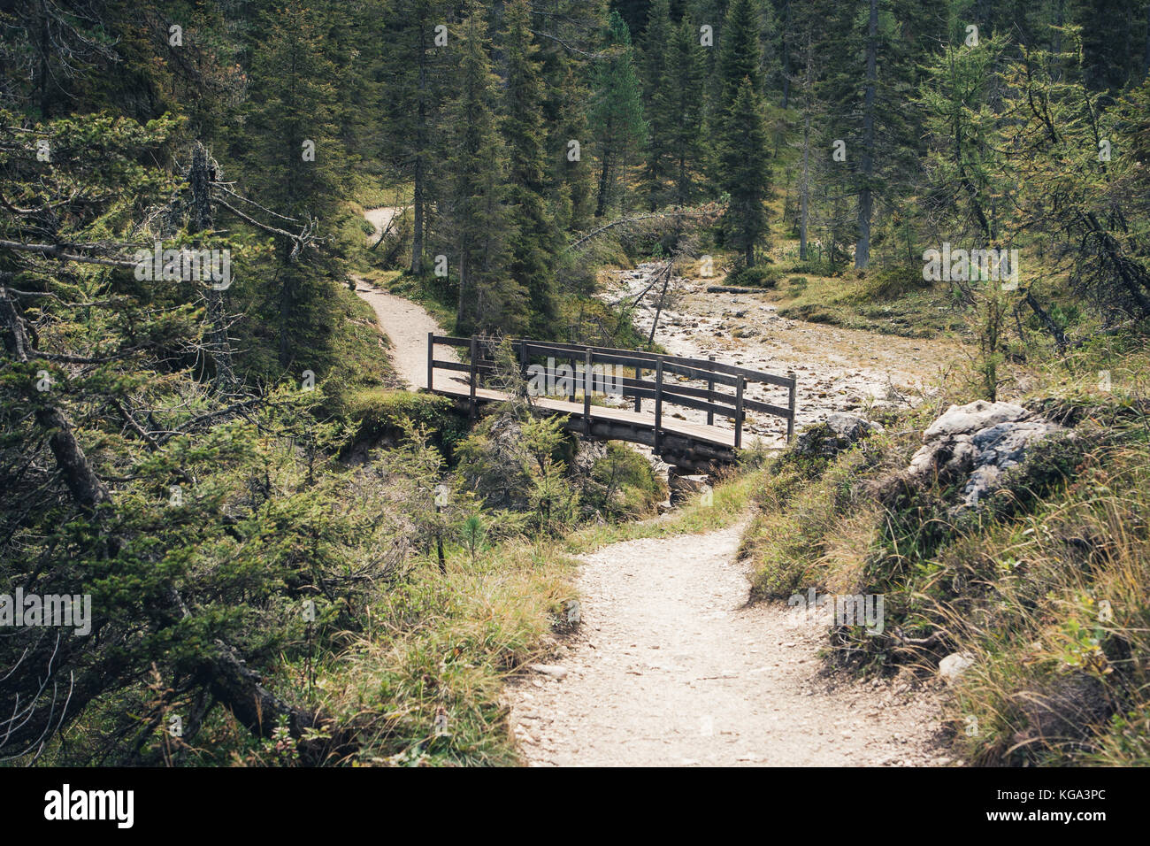Wooden bridge in Cortina D'Ampezzo, Dolomites, Italy Stock Photo - Alamy