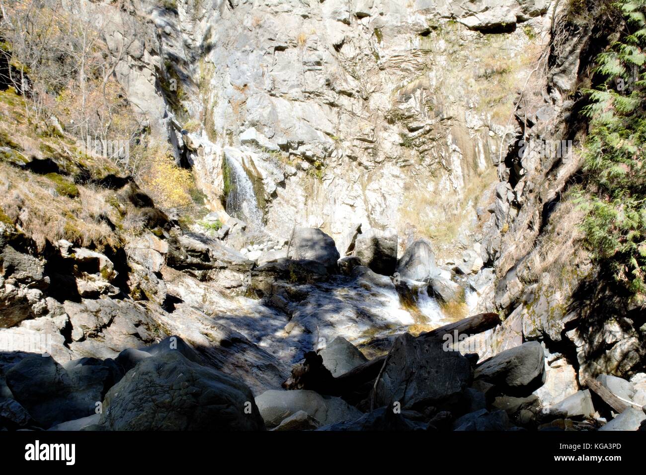 An amazing/ beautiful hiking at Fintry provincial park,British columbia ...