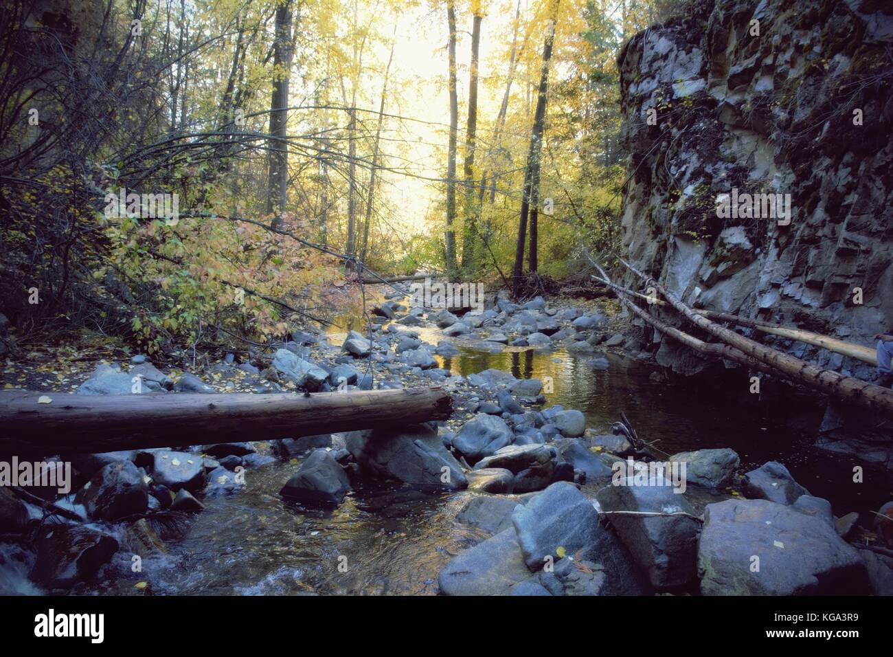An amazing/ beautiful hiking at Fintry provincial park,British columbia ...