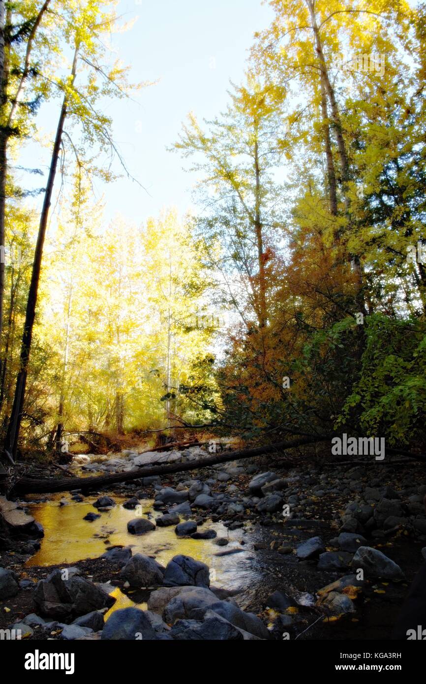 An amazing/ beautiful hiking at Fintry provincial park,British columbia ...