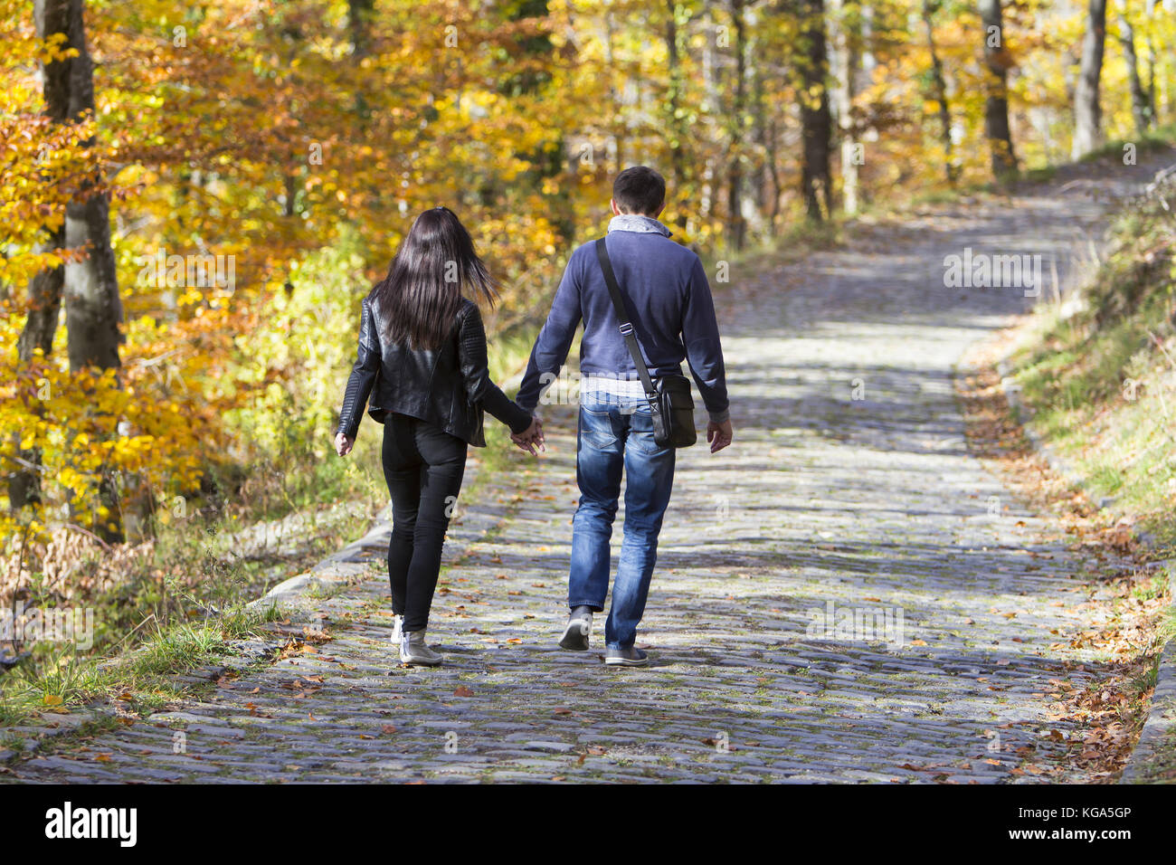 Two people walking in a park with a dog hi-res stock photography and ...