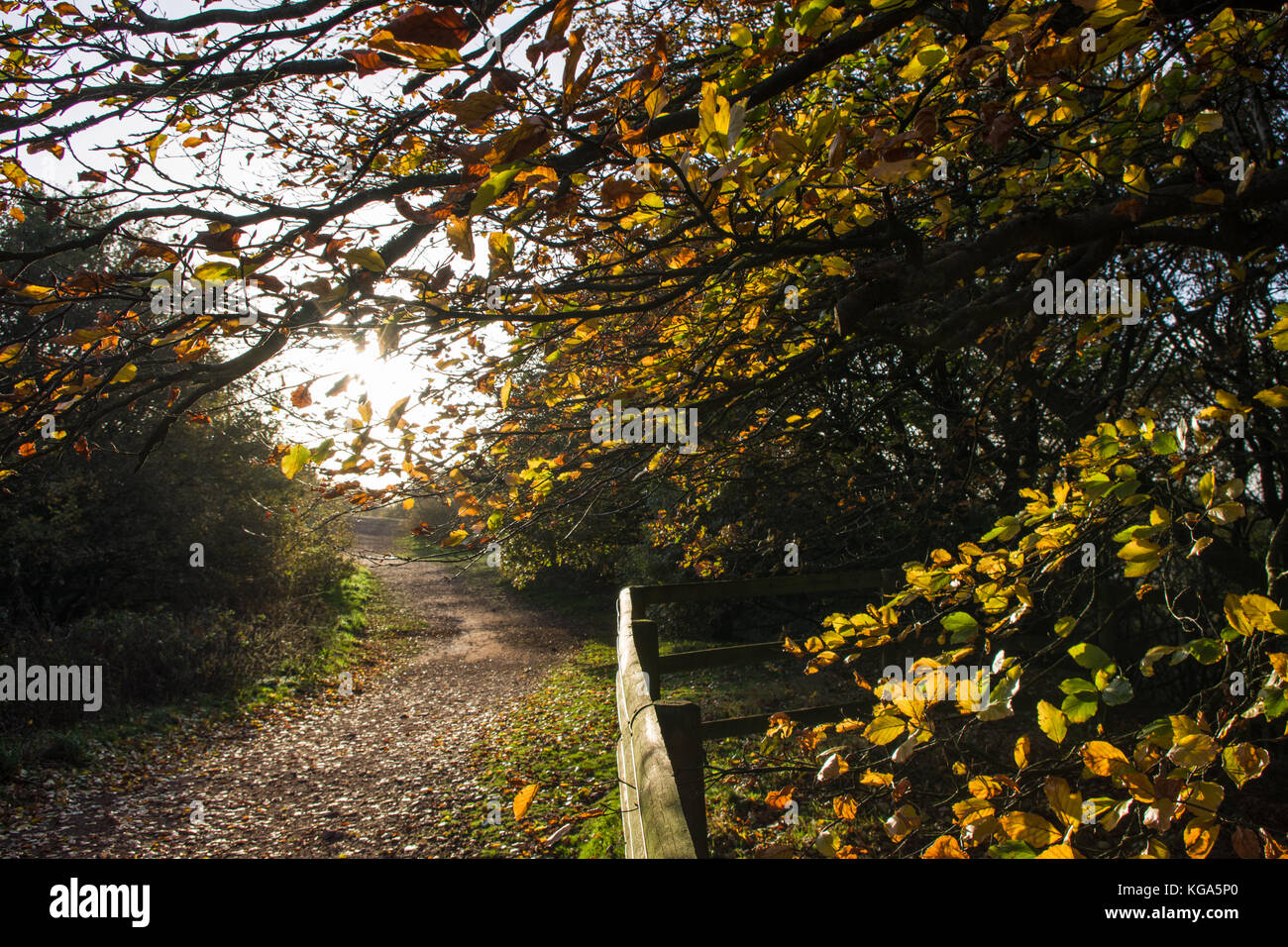 Clent hills england hi-res stock photography and images - Alamy
