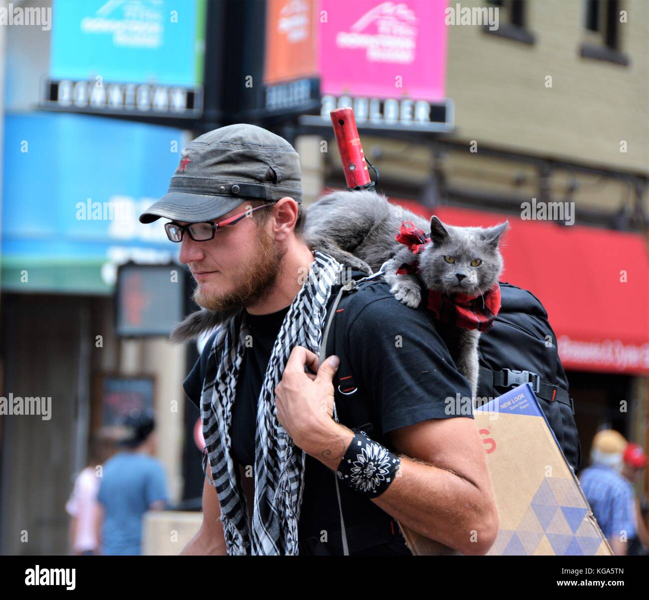 Unidentified Man and his cat Stock Photo - Alamy