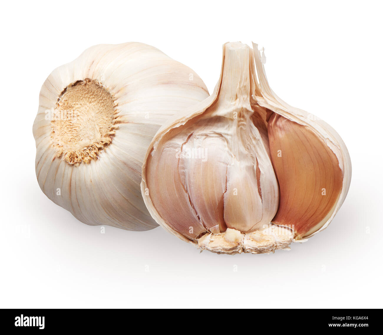 Whole fresh garlic and half with cloves isolated on white background ...
