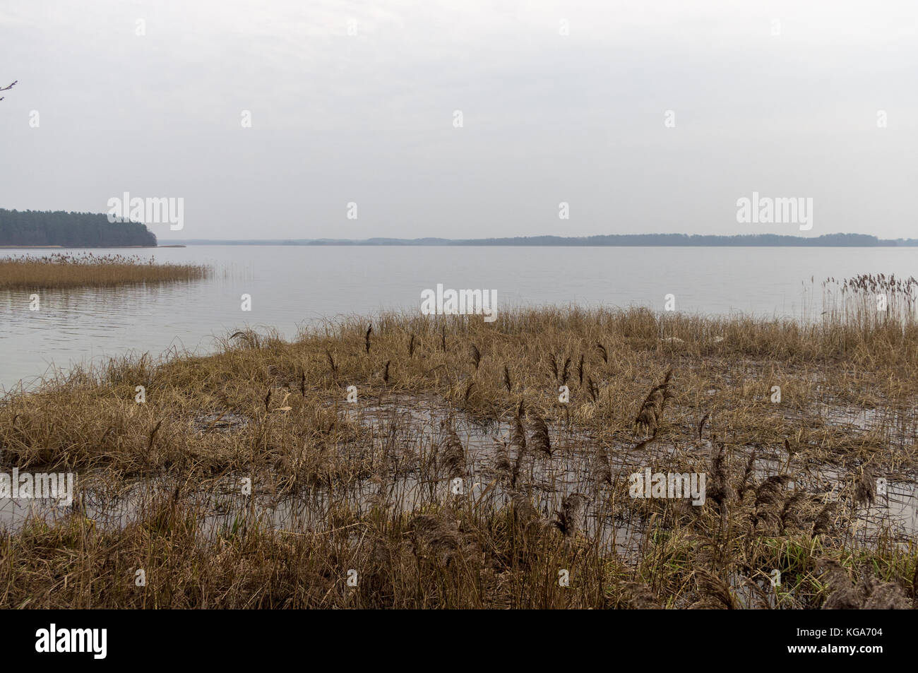 Wigry landscape hi-res stock photography and images - Alamy