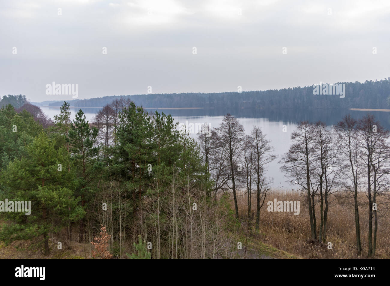 Wigry lake in the winter, Poland Stock Photo - Alamy