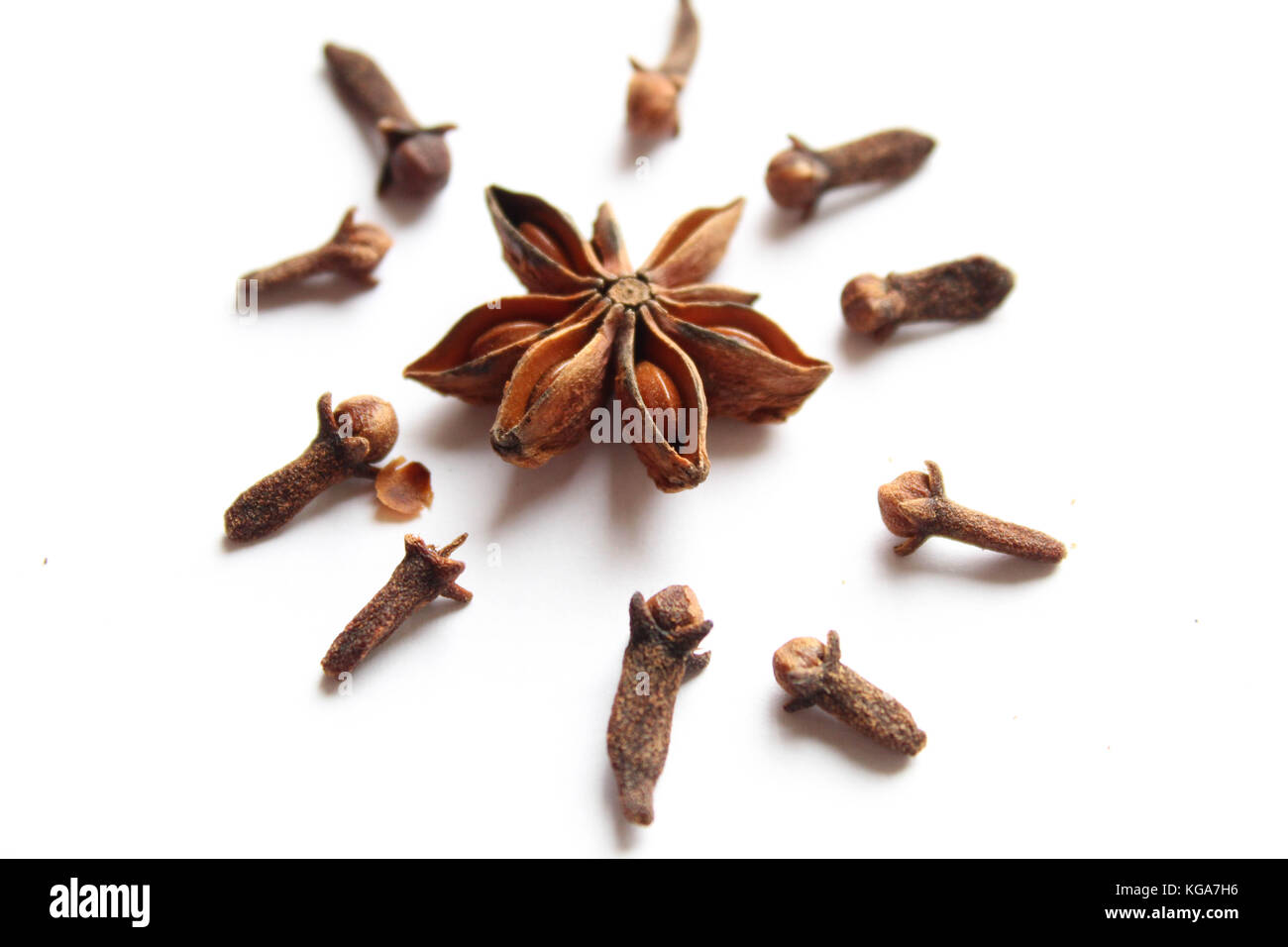 cloves and star anise layed out on a white background Stock Photo - Alamy