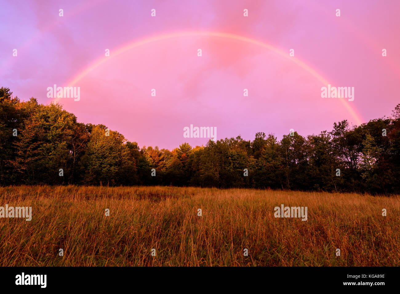 Sunrise over marsh hi-res stock photography and images - Alamy
