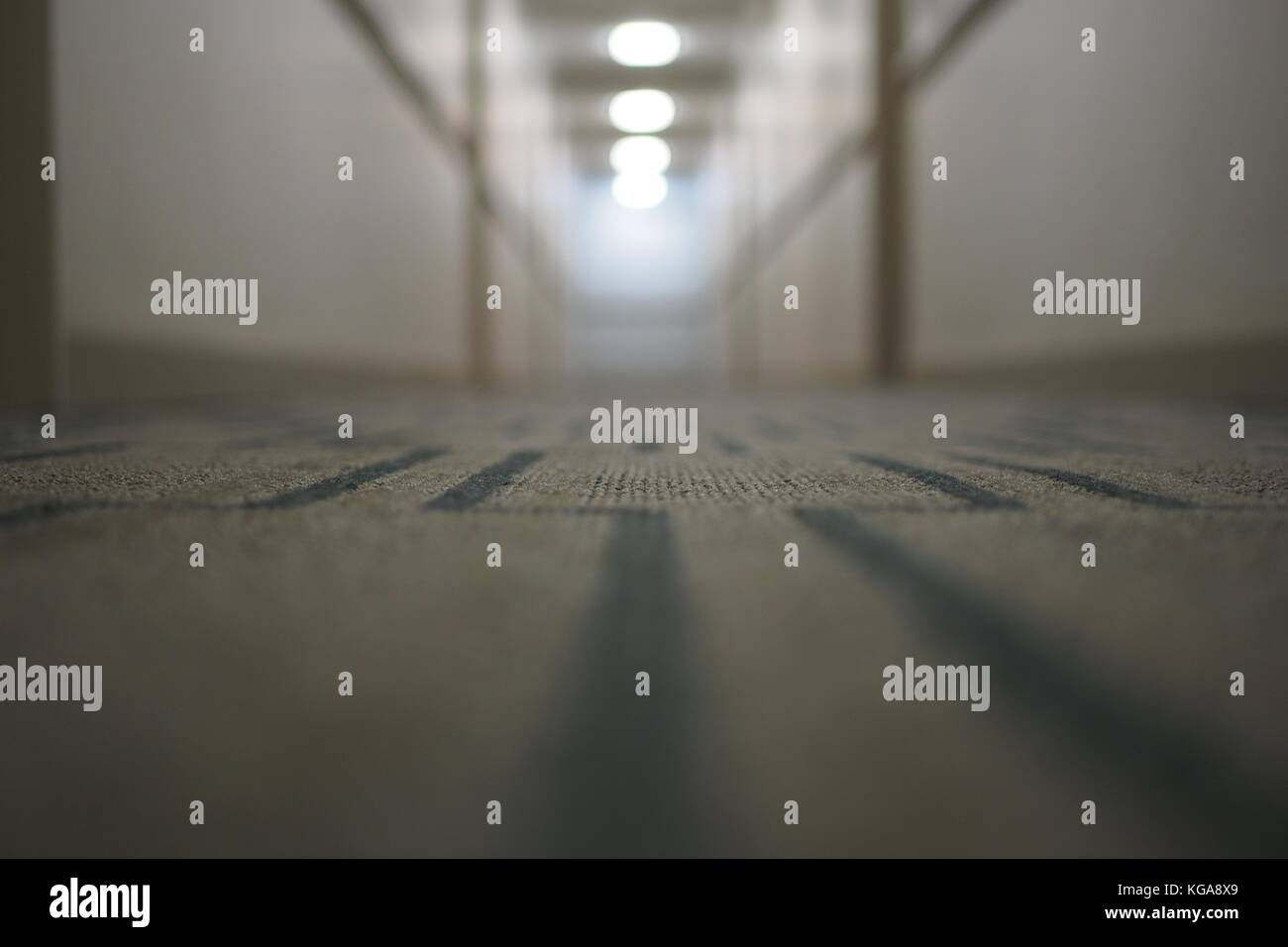 The eighth floor hallway of my building Stock Photo - Alamy