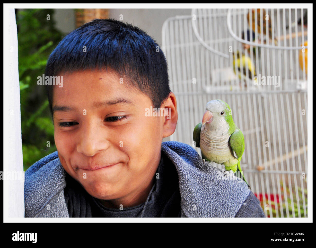 MEXICAN BOY AND HIS PET PARROT Stock Photo - Alamy