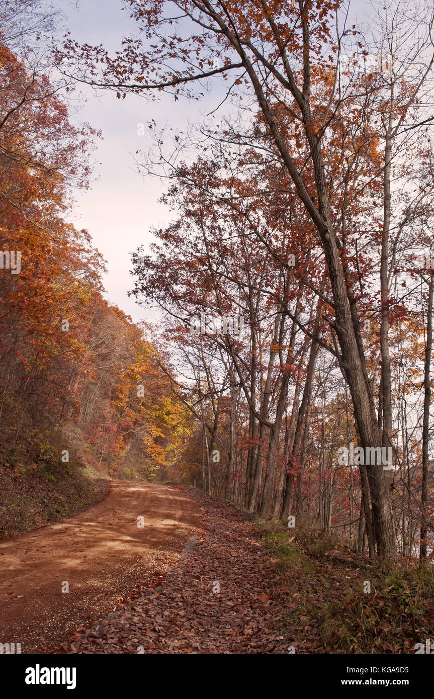 Winding road through the woods in the fall hi-res stock photography and ...