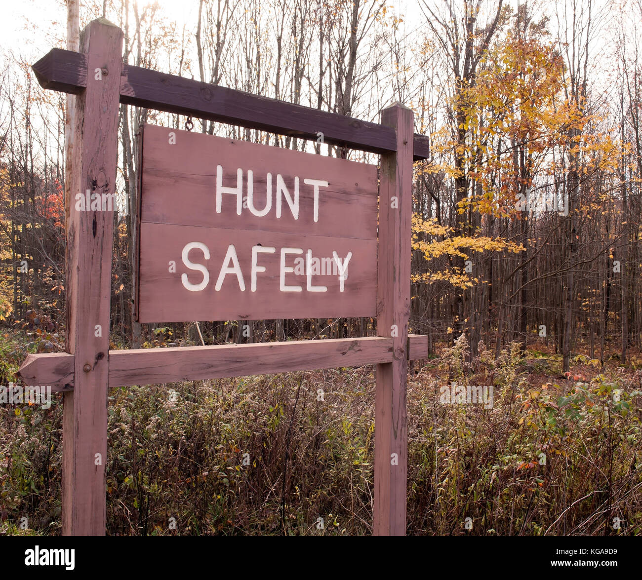 A "HUNT SAFELY" sign in the Pennsylvania woods Stock Photo - Alamy