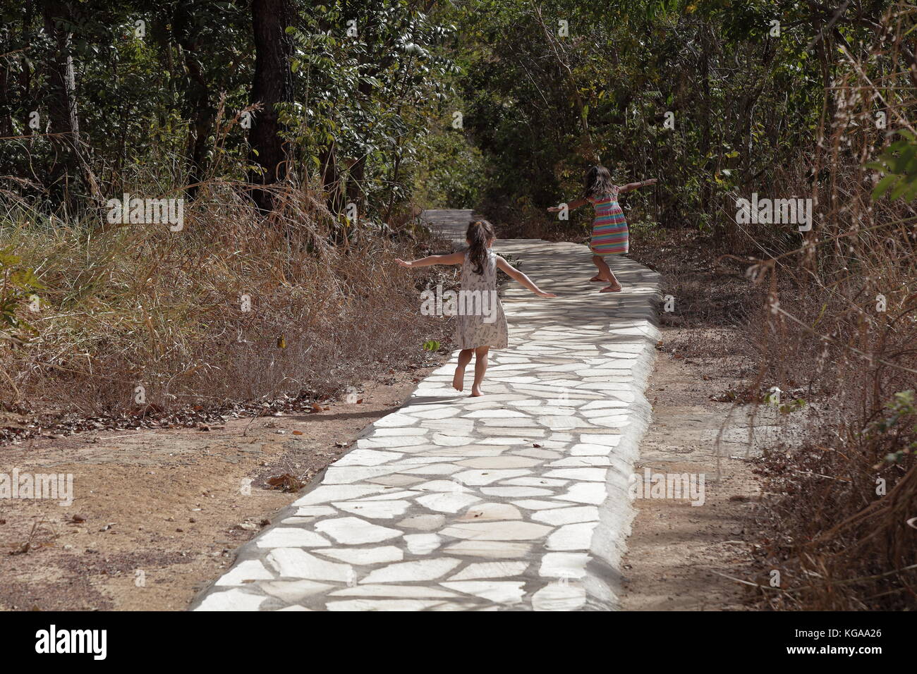 The path of life Stock Photo - Alamy