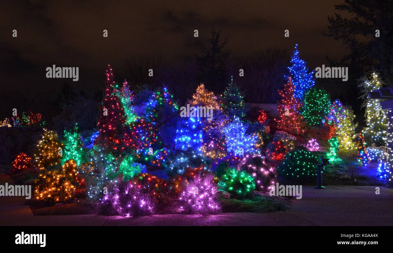 Outdoor Tree Lights Stock Photo - Alamy