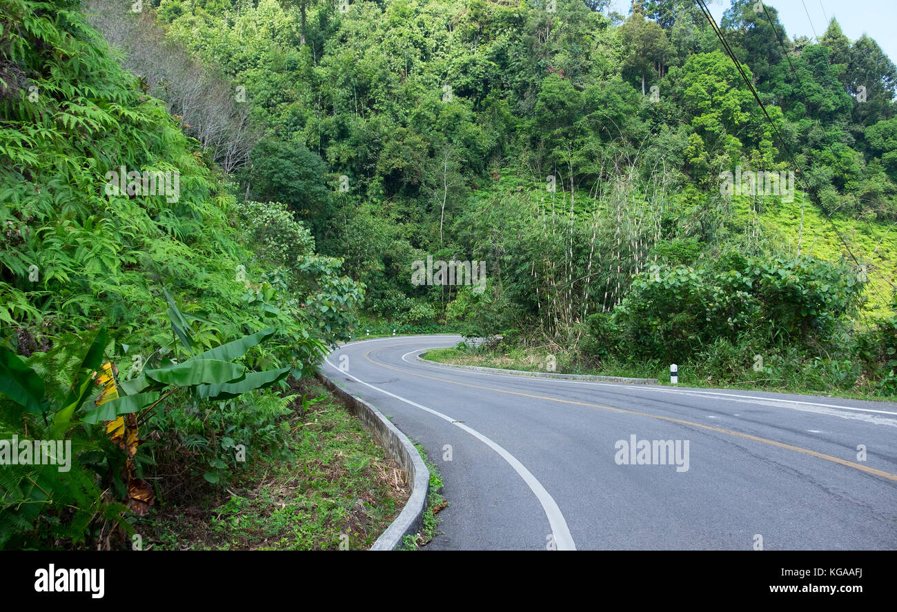 The road to the jungle Stock Photo - Alamy
