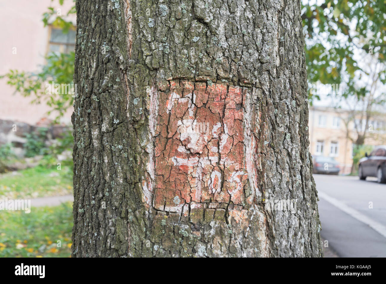 Bark Mark Marking High Resolution Stock Photography and Images - Alamy