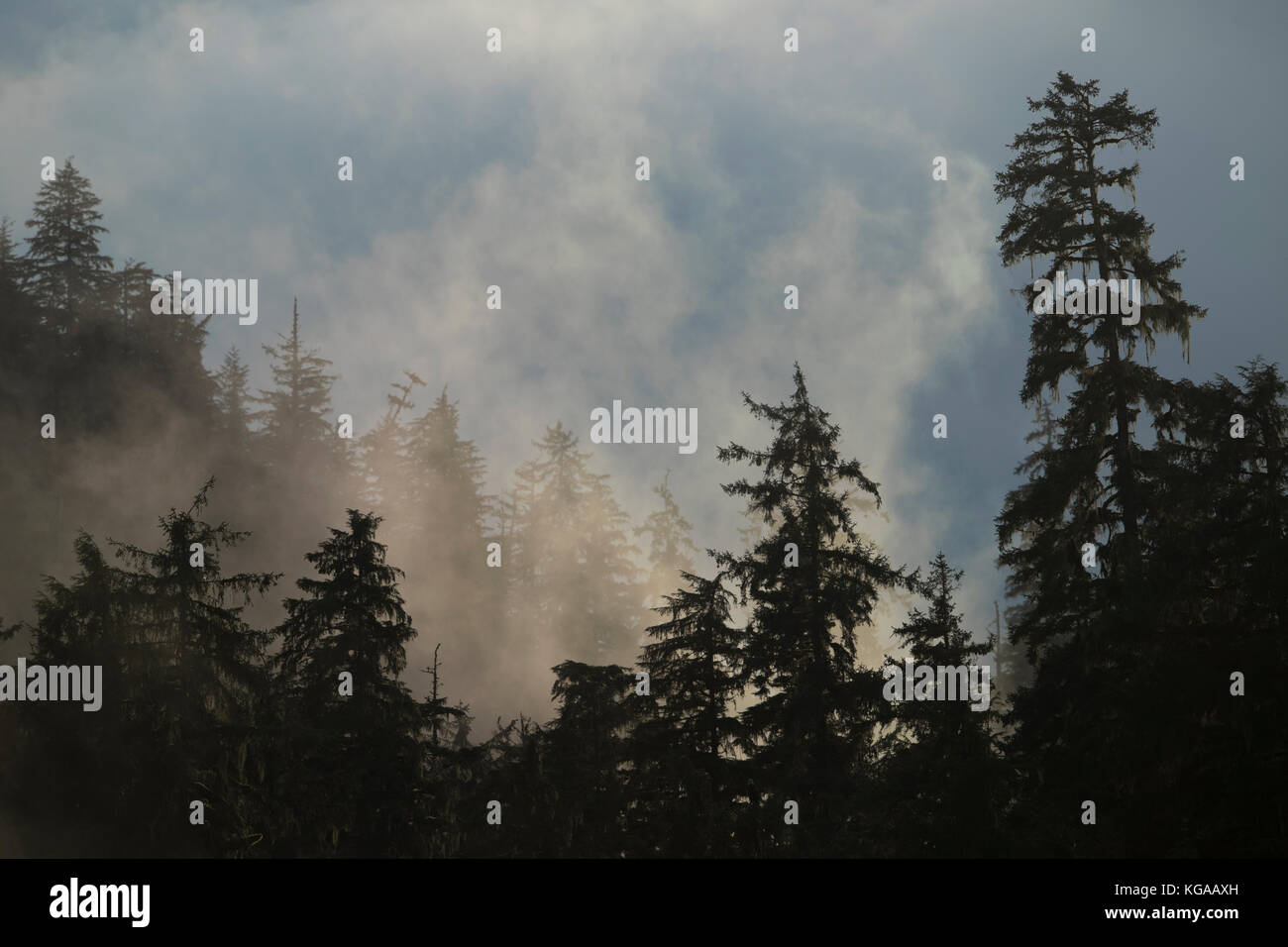 Atmospheric misty scenery hi-res stock photography and images - Alamy