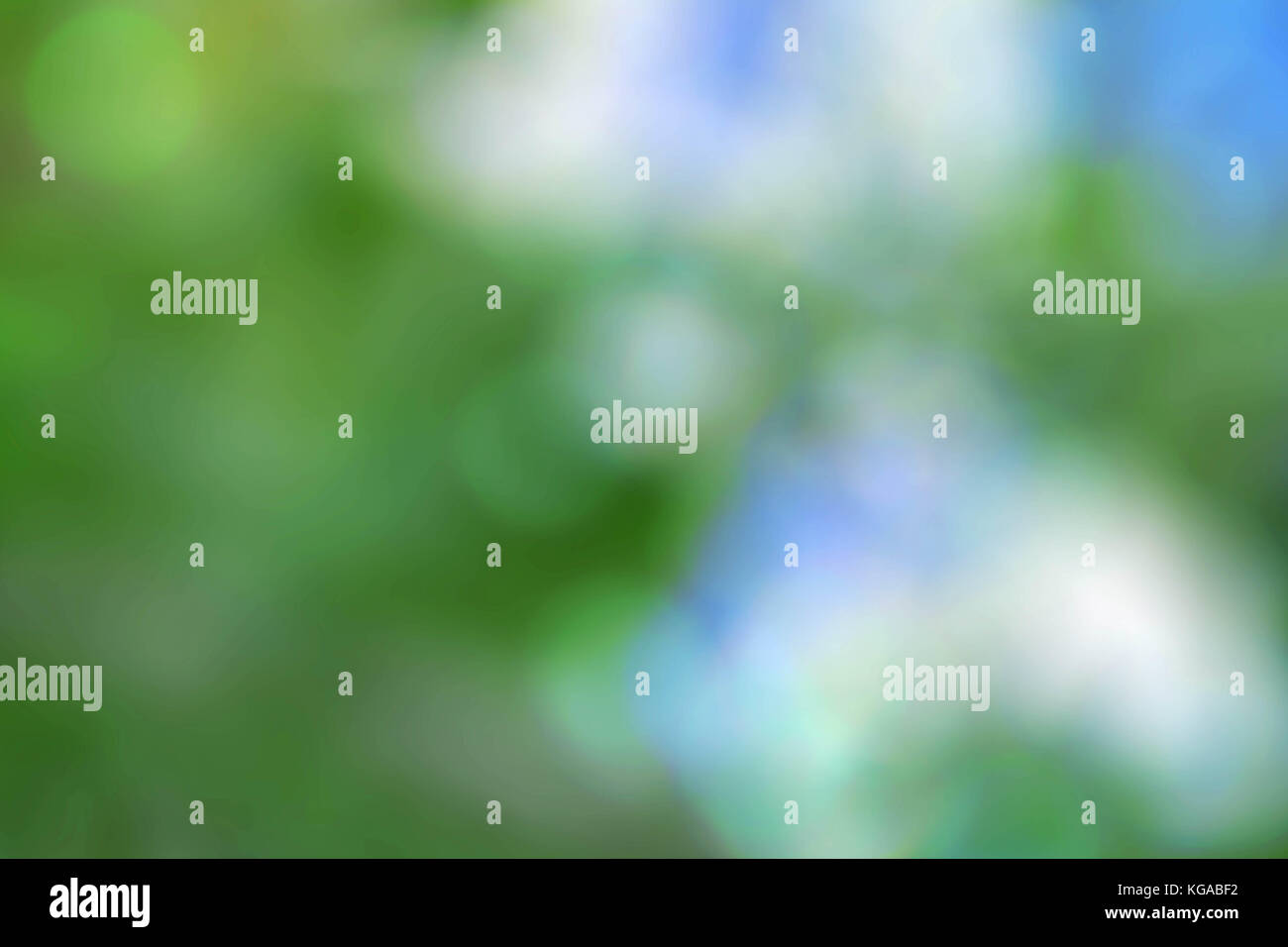 Abstract green background with blurred images Stock Photo - Alamy