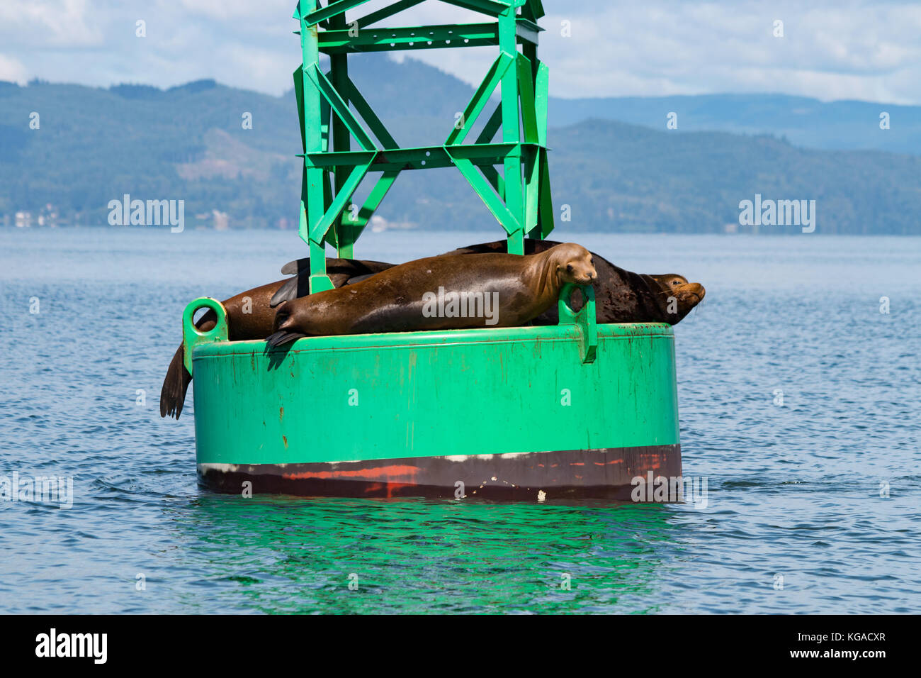 Red water channel marker hi-res stock photography and images - Alamy
