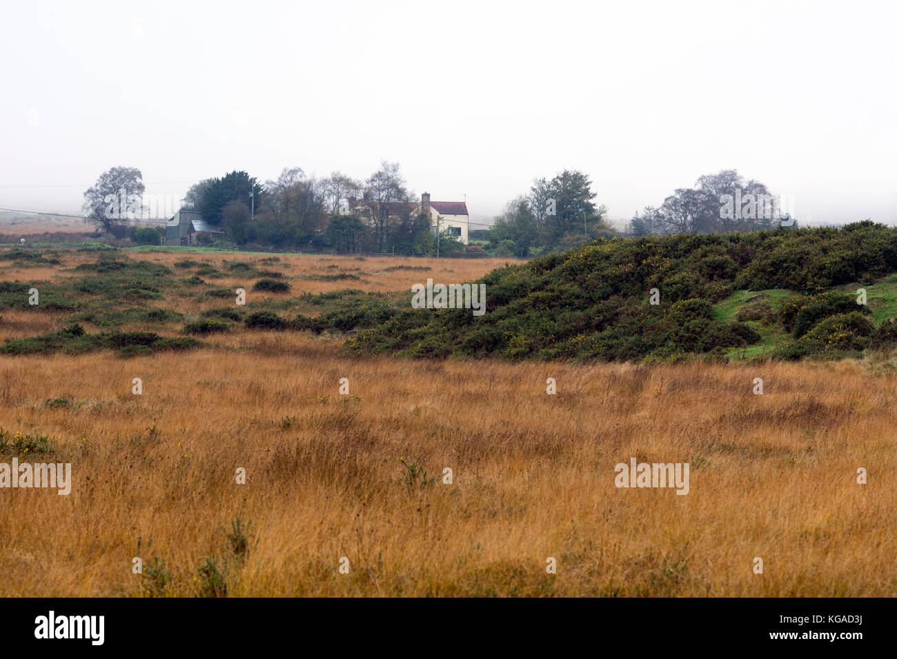 Catherton Common, near Cleobury Mortimer, Shropshire, England, UK Stock ...