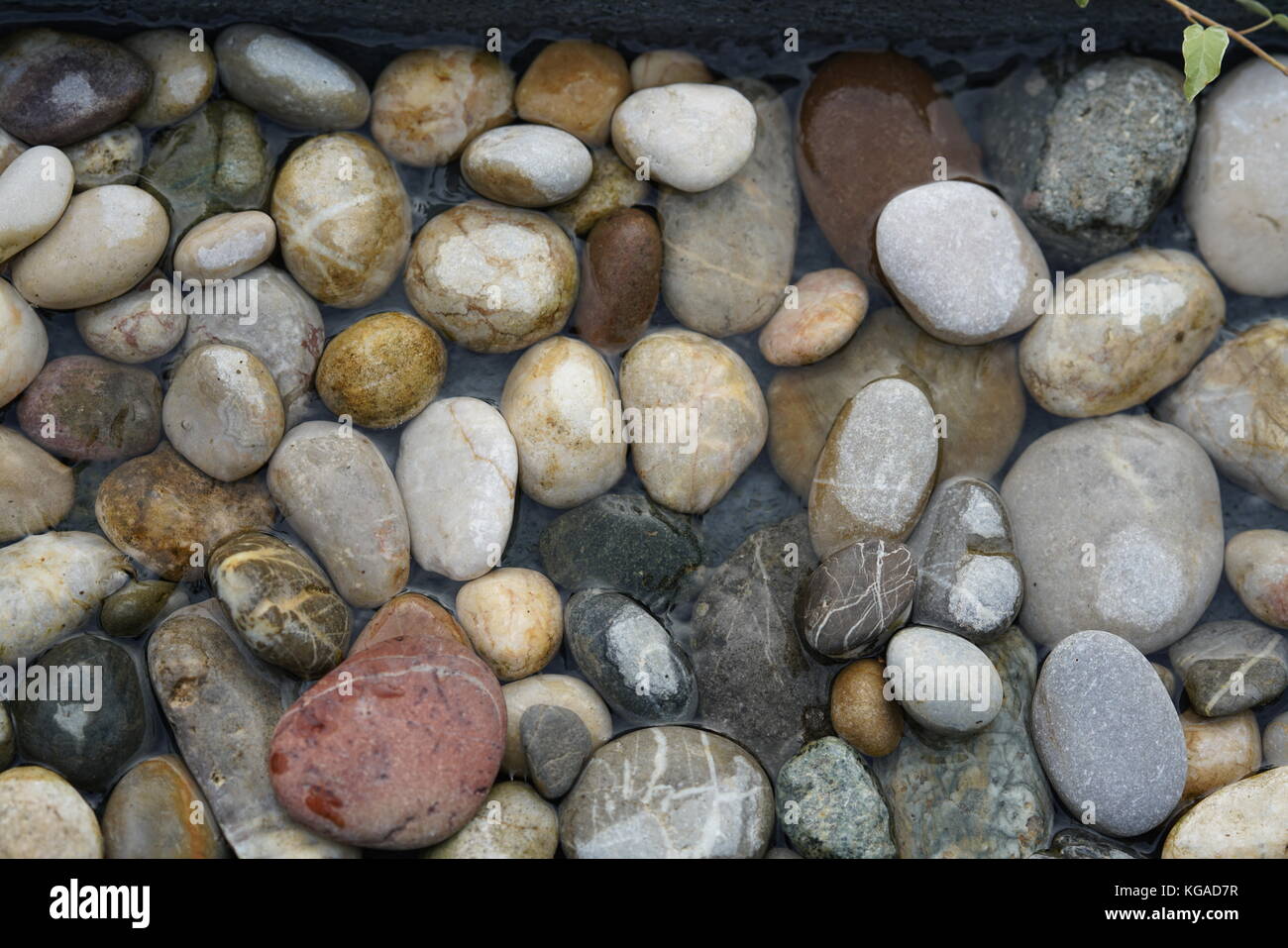 Stones under the surface of water Stock Photo - Alamy