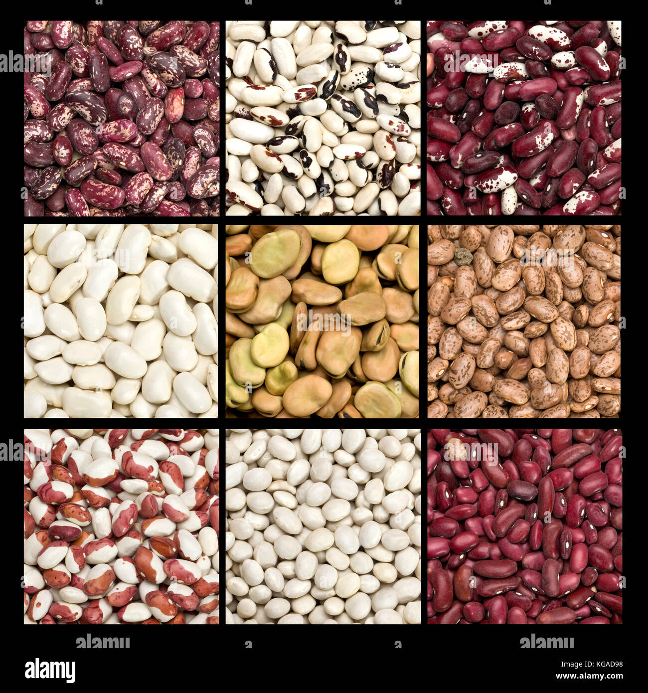Multicolored beans on black backgrounds Stock Photo - Alamy