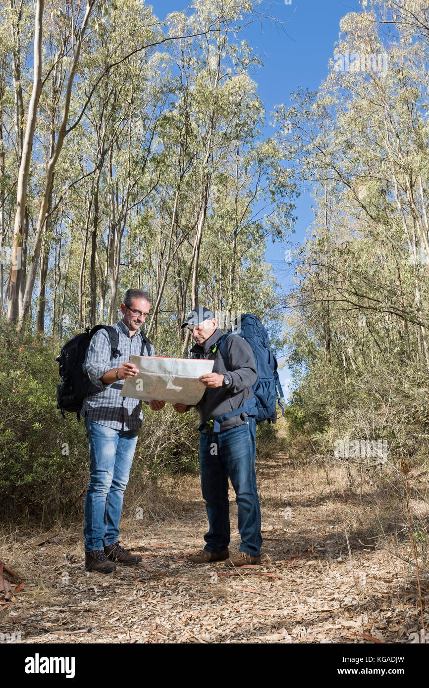Hikers are stuck in the woods using the map to navigate Stock Photo - Alamy