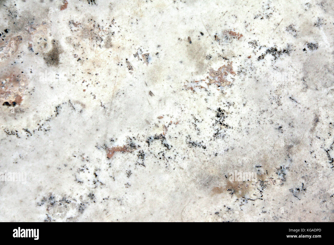 Texture of granite of light grey color Stock Photo - Alamy