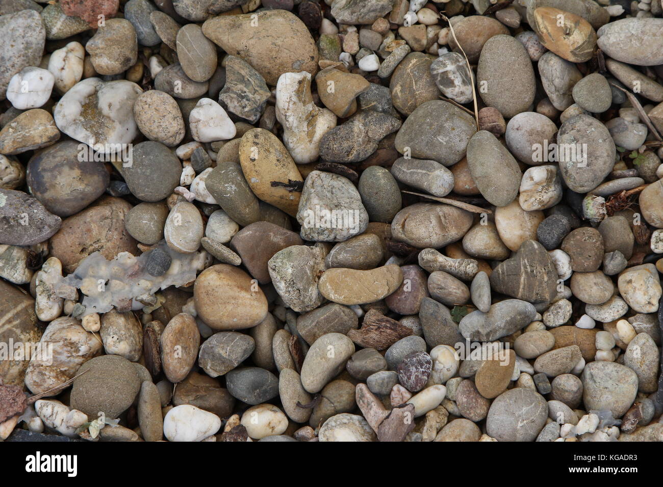Stones under the surface of water Stock Photo - Alamy