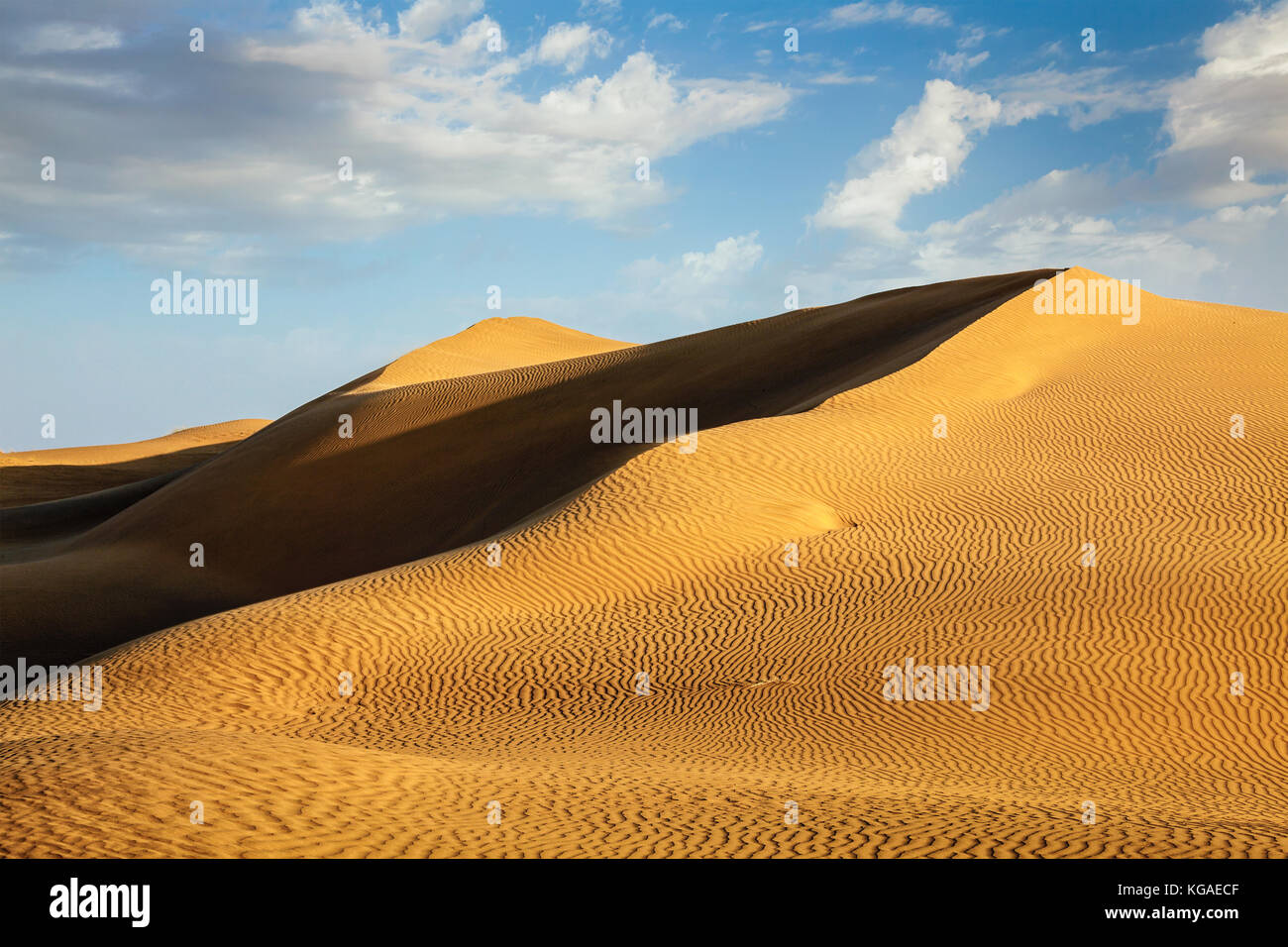 Dunes of Thar Desert, Rajasthan, India Stock Photo - Alamy