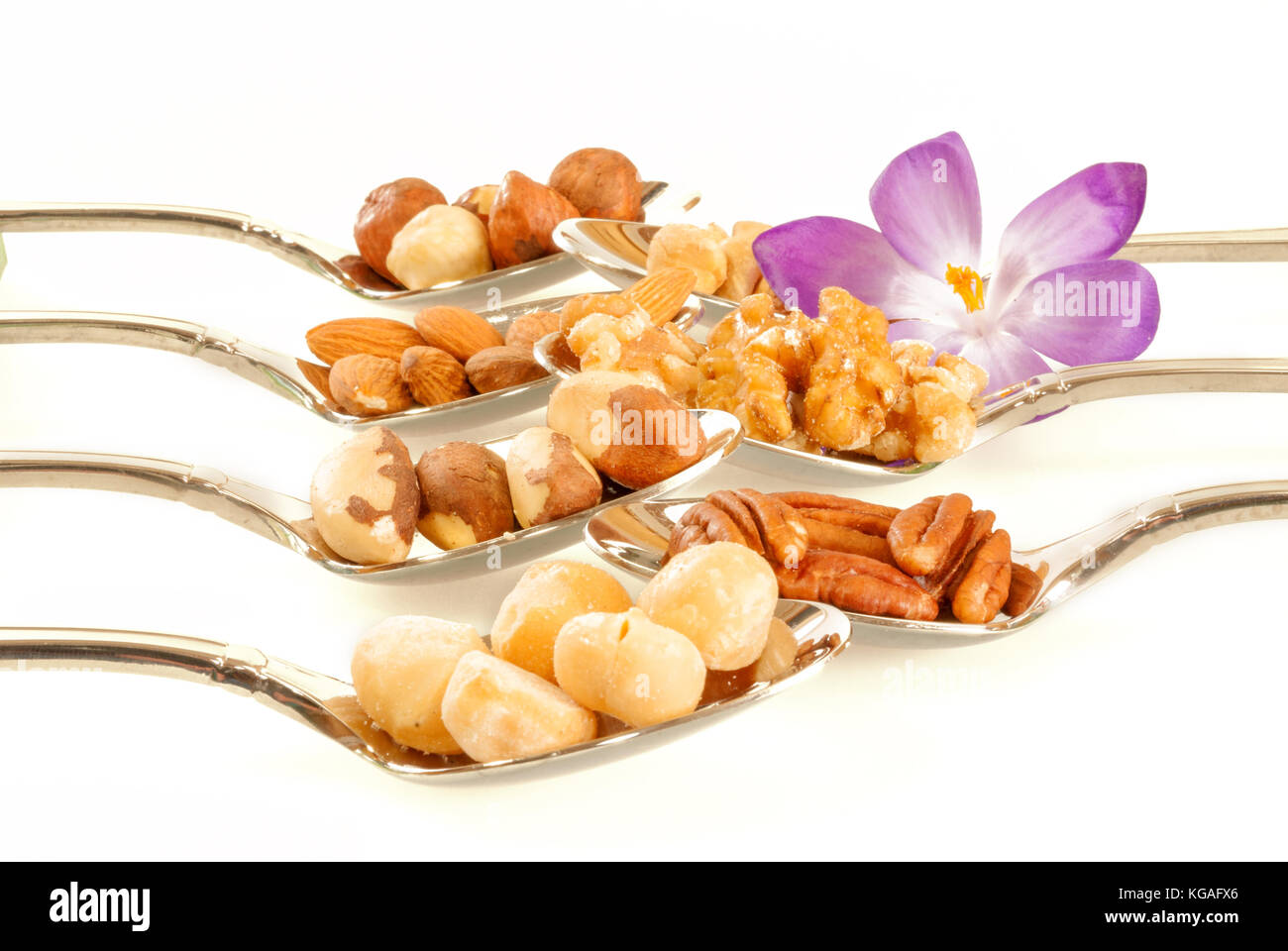 Different nuts hi-res stock photography and images - Alamy