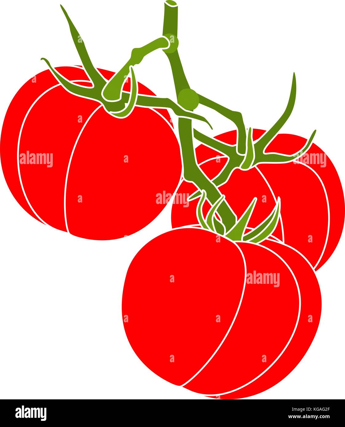 3 three tomatoes branch poster isolated on white background Stock ...