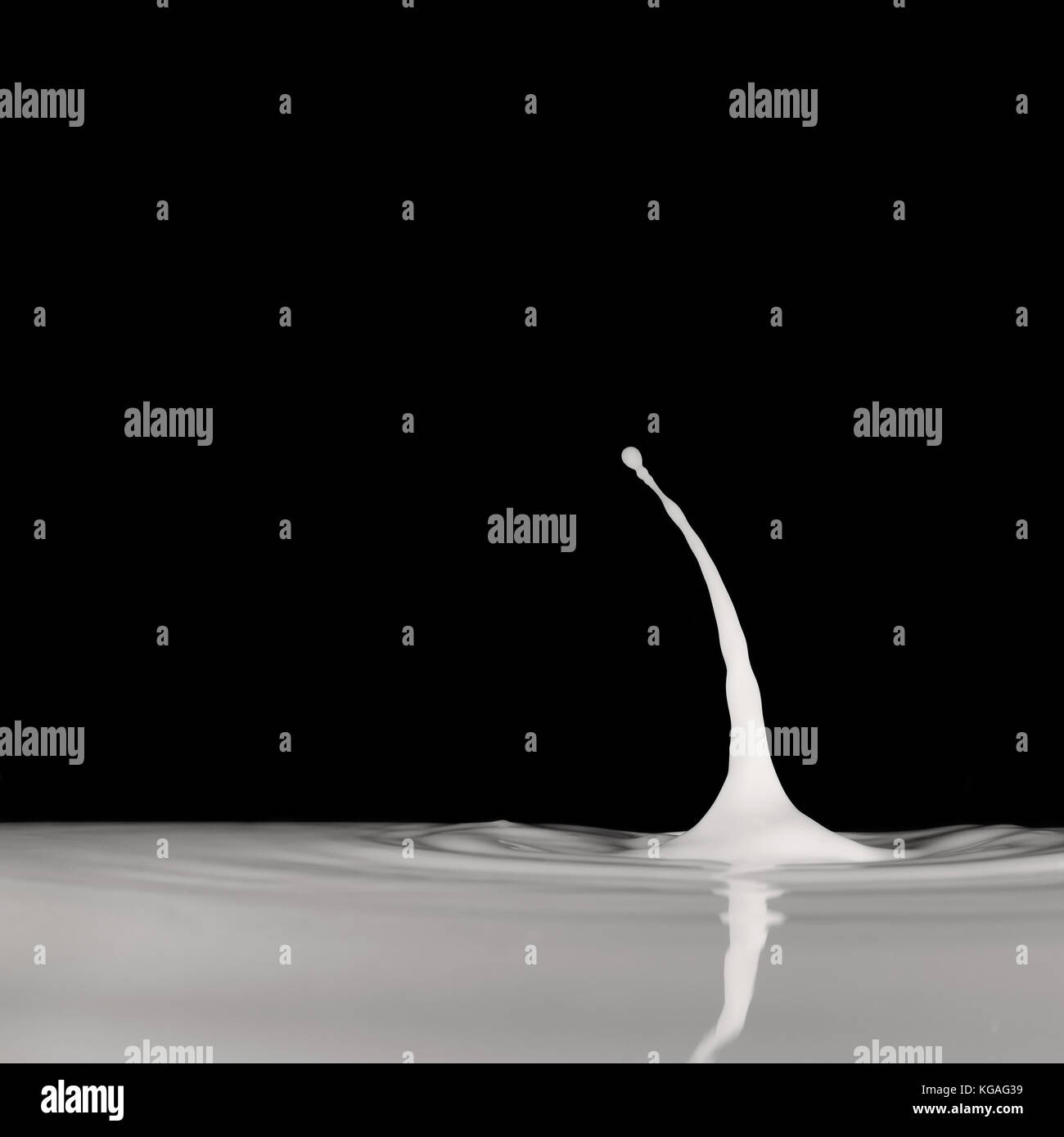Milk drop splash Stock Photo - Alamy