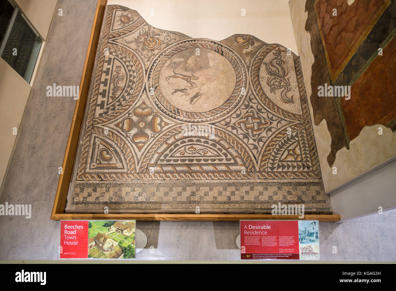 Roman hunting dogs mosaic hi-res stock photography and images - Alamy