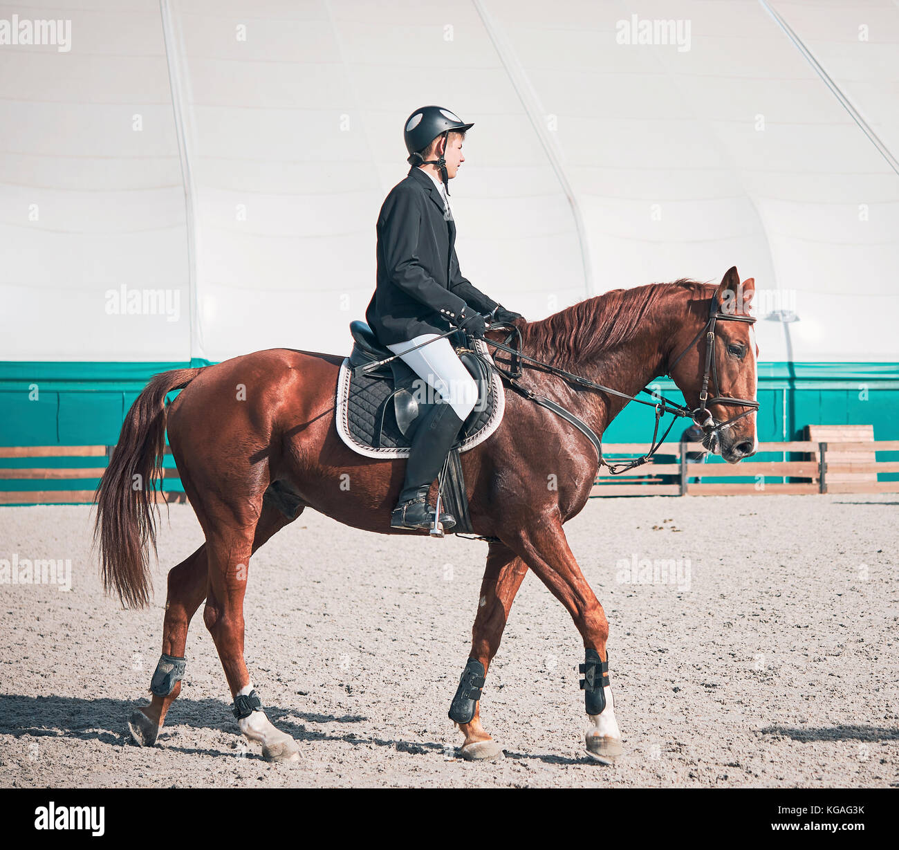 boy rider on horse Stock Photo - Alamy
