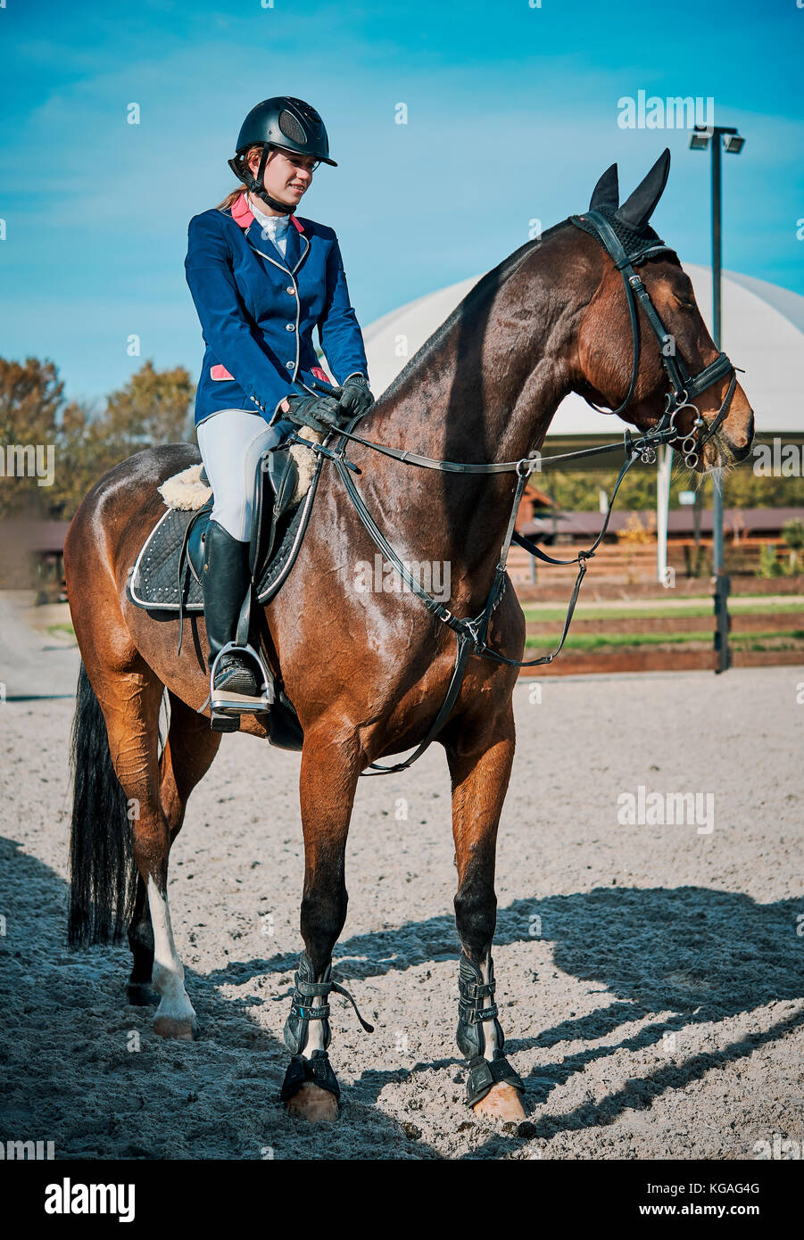 girl rider on horse Stock Photo - Alamy
