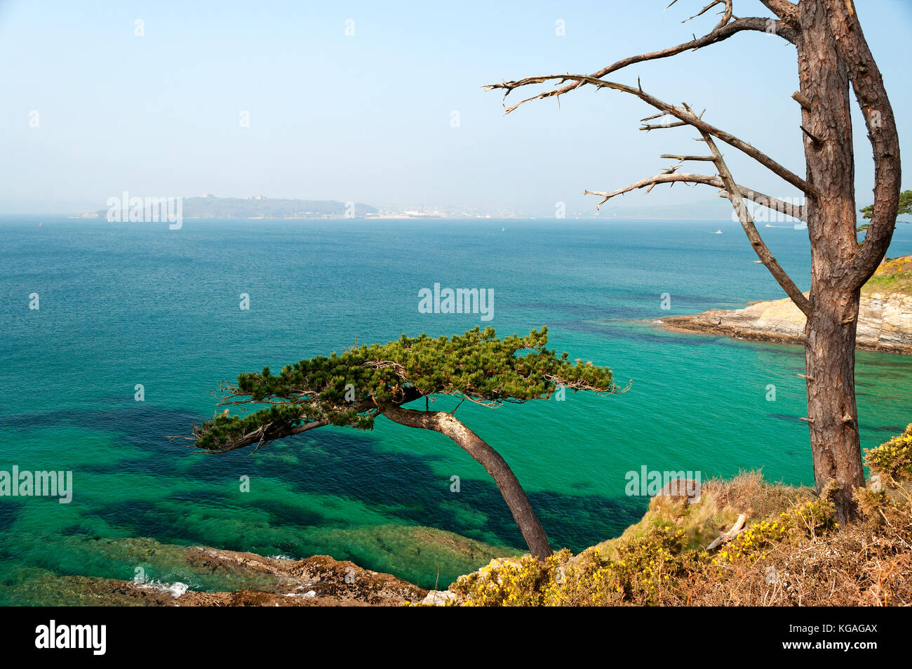 the roseland peninsular in cornwall, england, britain, uk Stock Photo ...