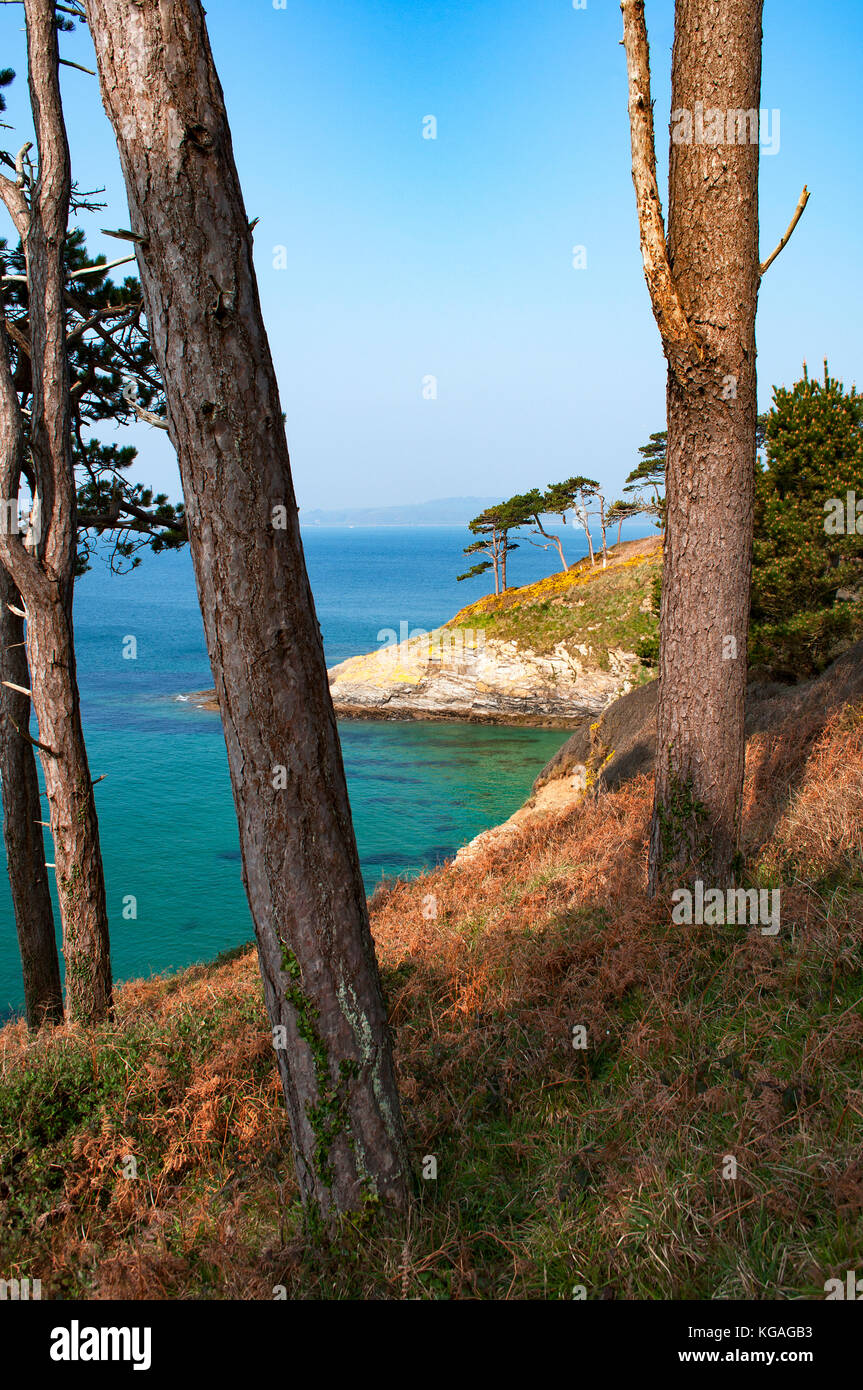 coastline on the roseland peninsular in cornwall, england, britain, uk ...