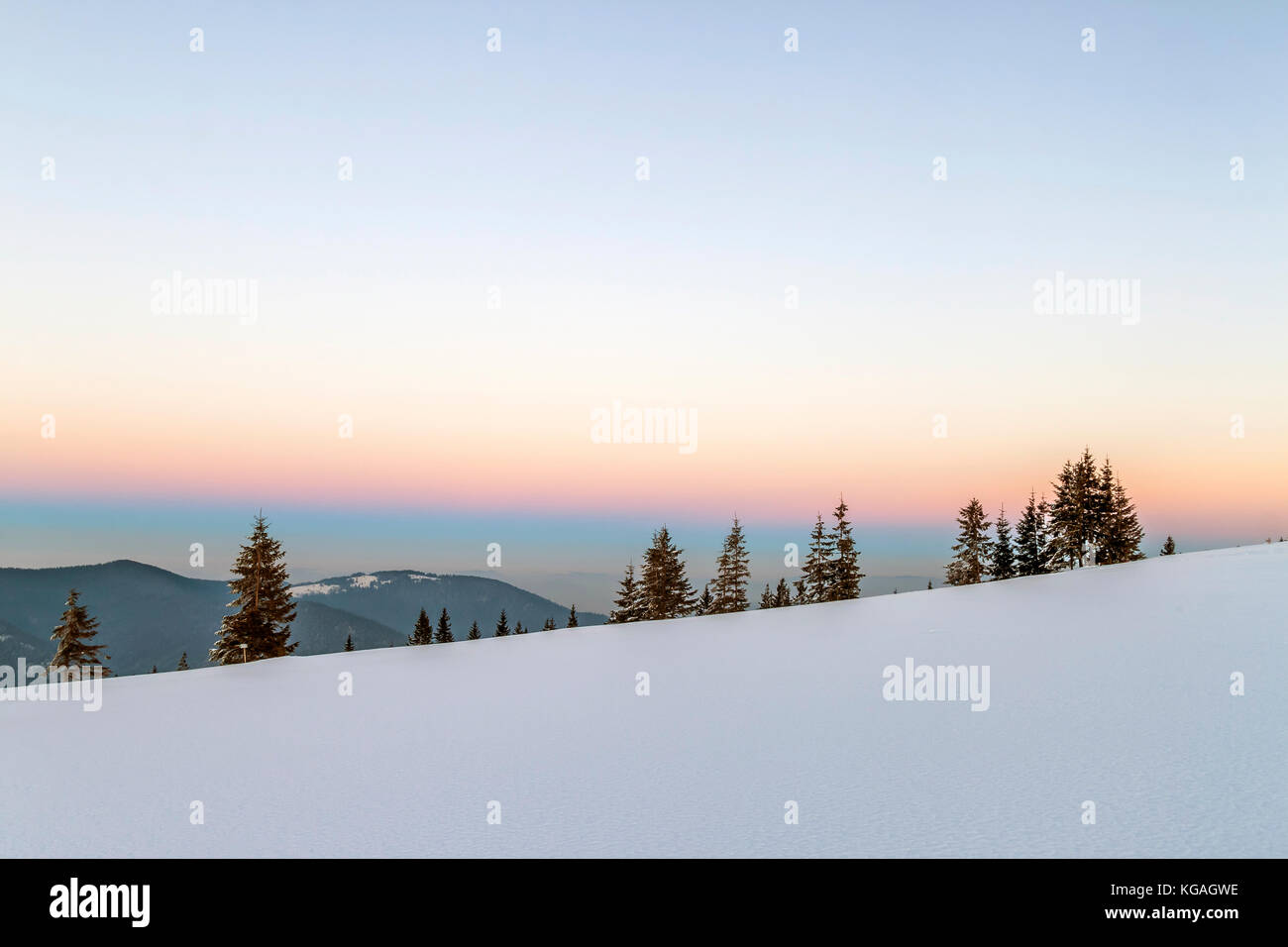 Winter snowy landscape in mountains with pine trees and white hills ...