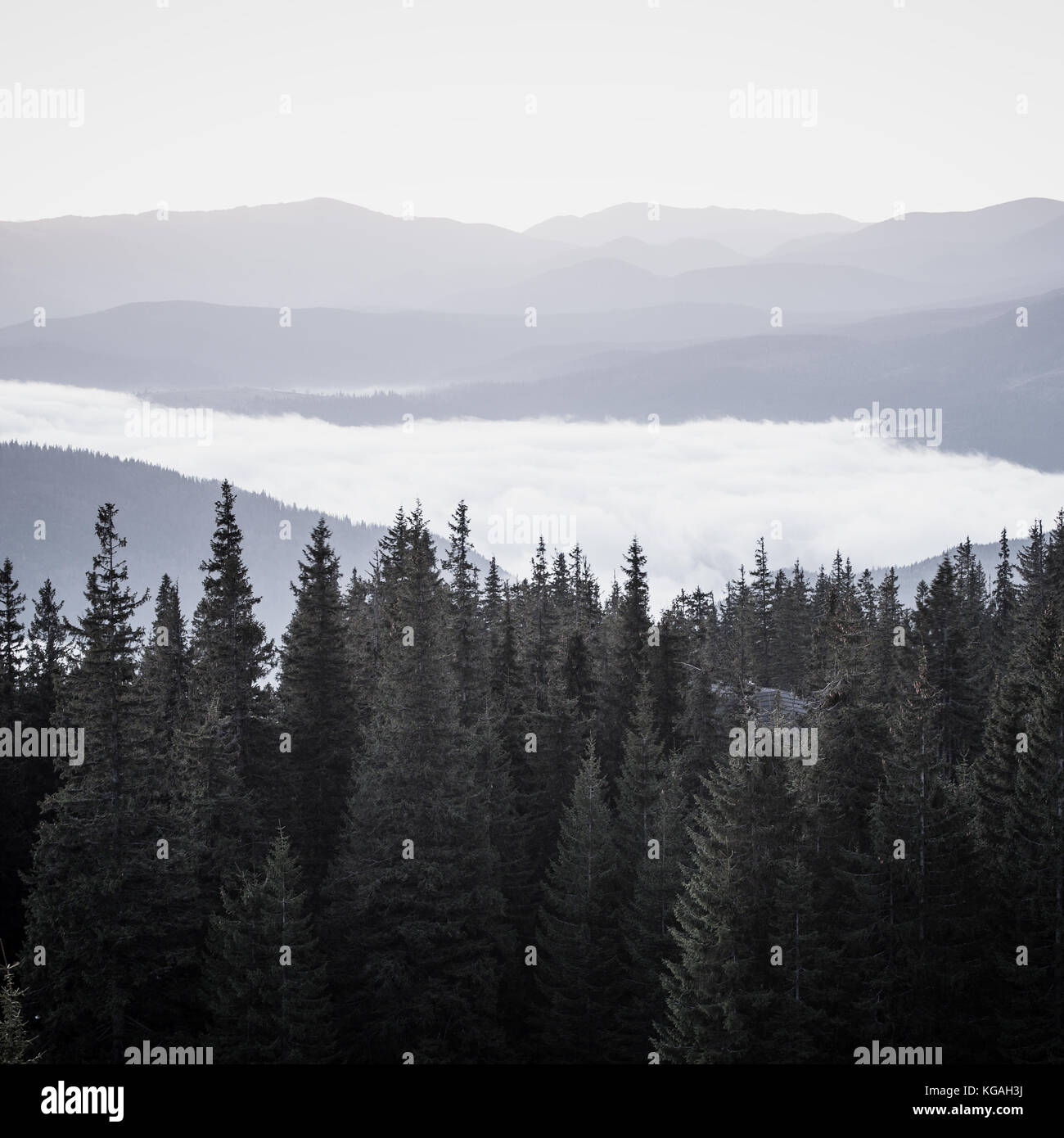 Morning mountain landscape Stock Photo - Alamy