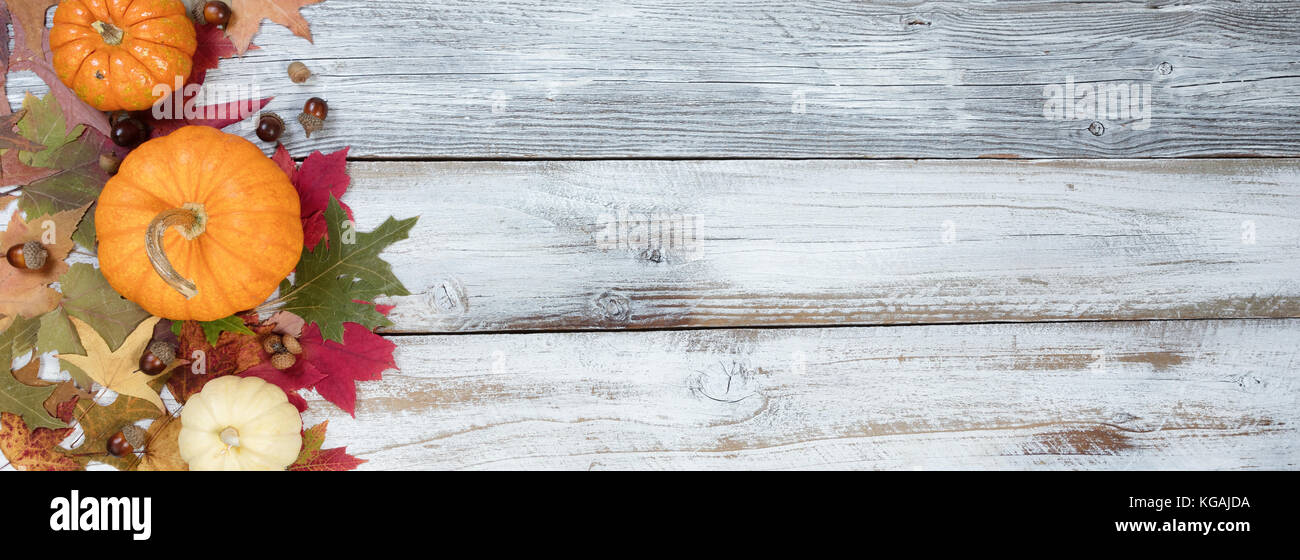 Seasonal Autumn pumpkins and leaves on rustic white wooden boards Stock ...