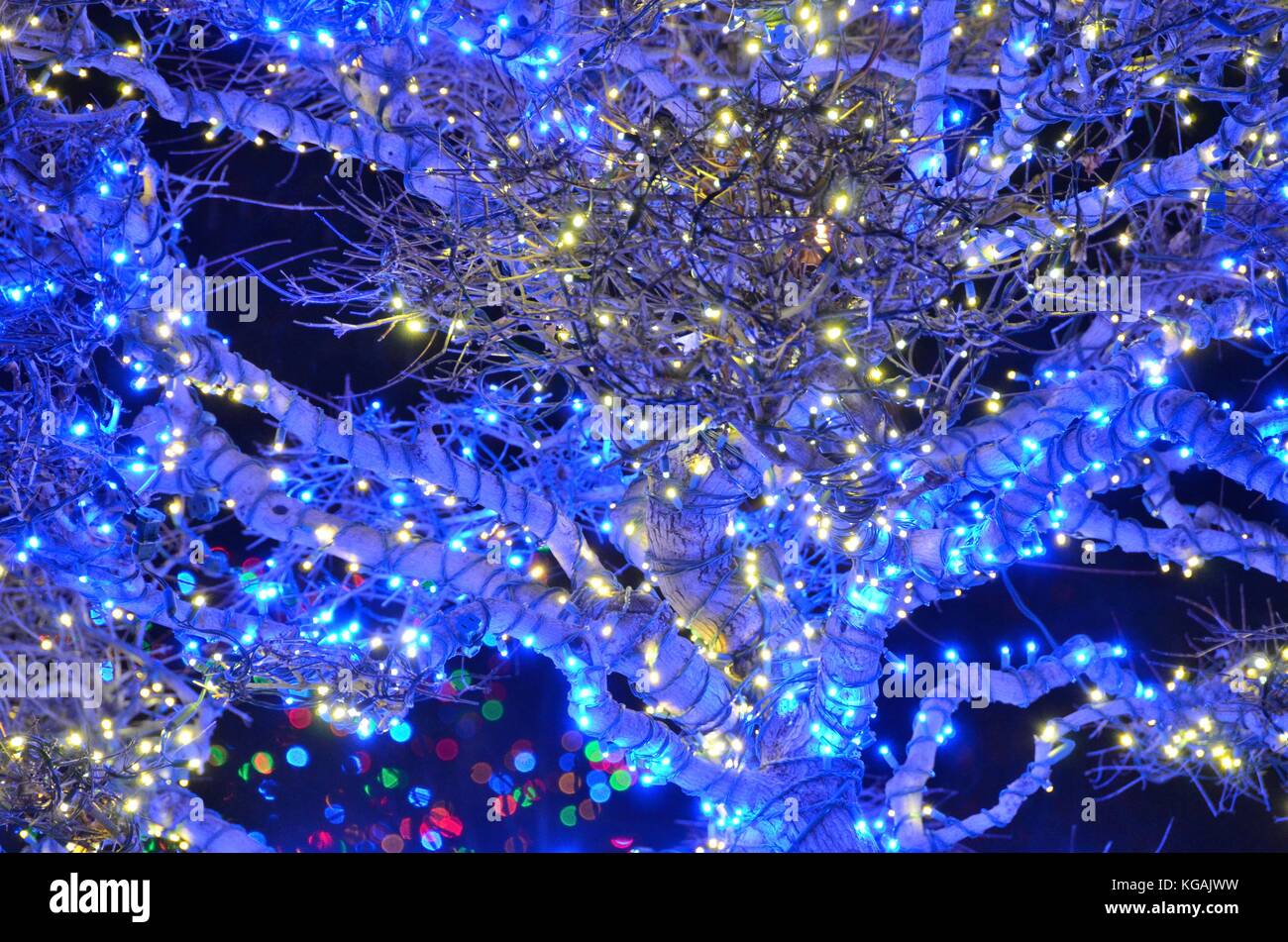 Outdoor Tree Lights Stock Photo - Alamy