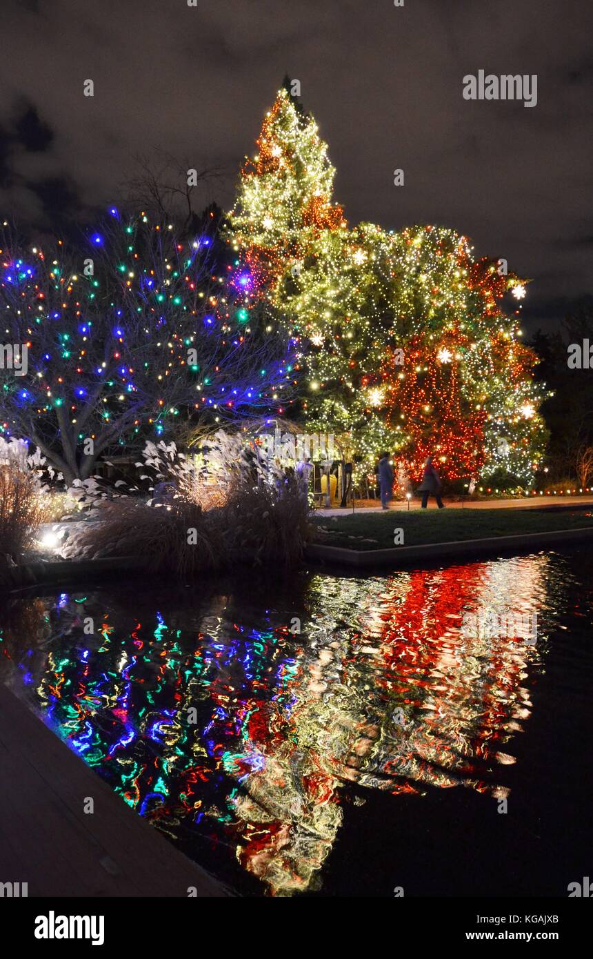 Outdoor Tree Lights Stock Photo - Alamy