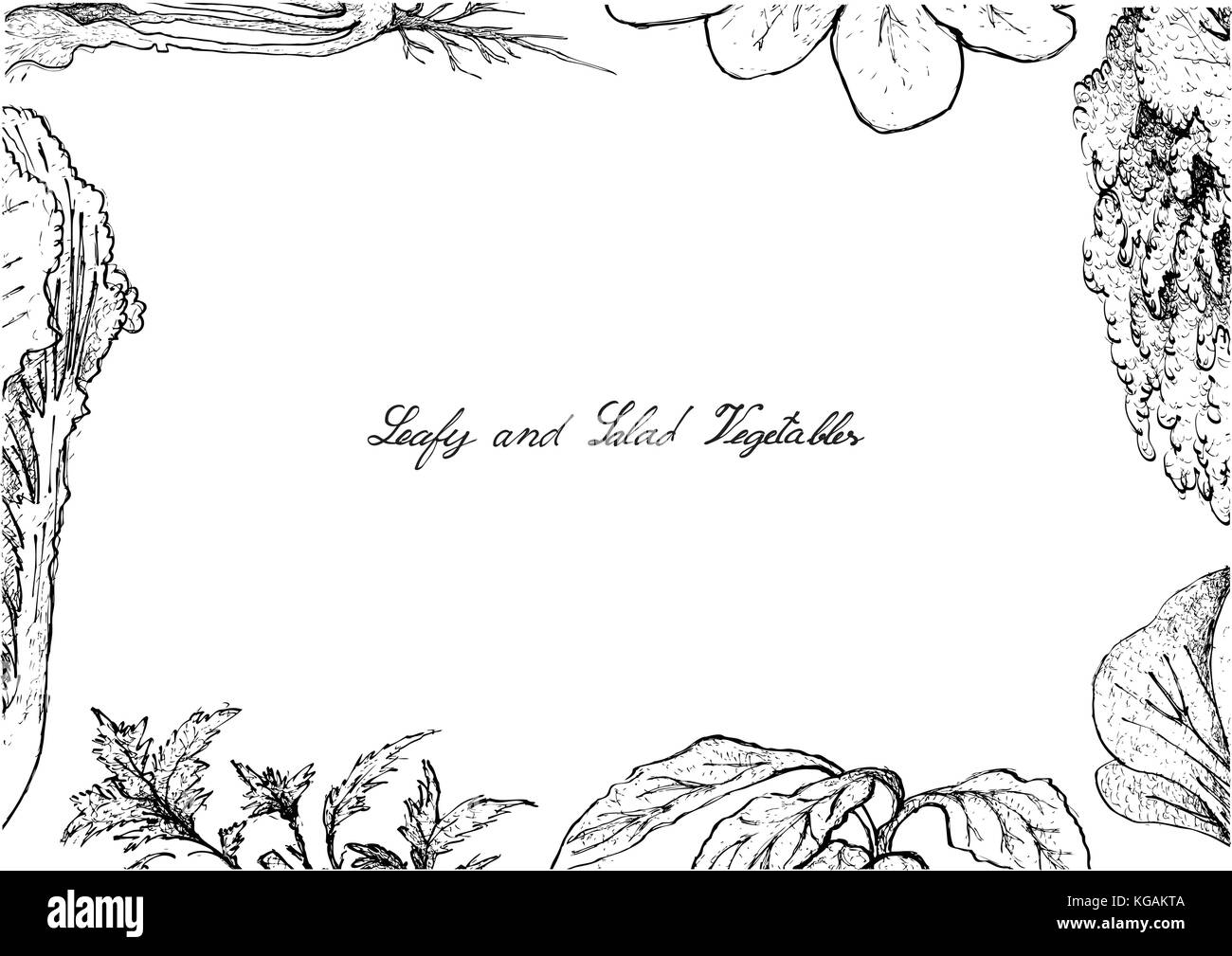 Vegetable Salad, Illustration Frame of Hand Drawn Sketch Delicious ...