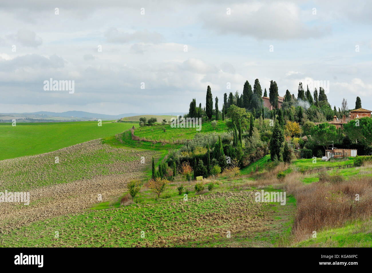 Tuscan landscape with green meadows and fields, Italy Stock Photo - Alamy