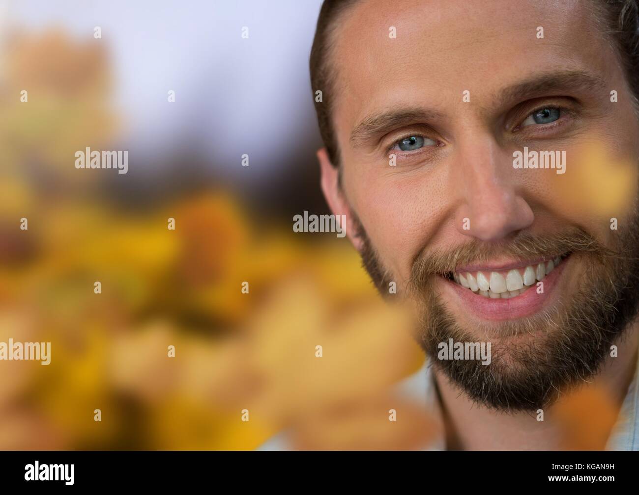 Digital composite of Man's face in landscape with leaves Stock Photo ...