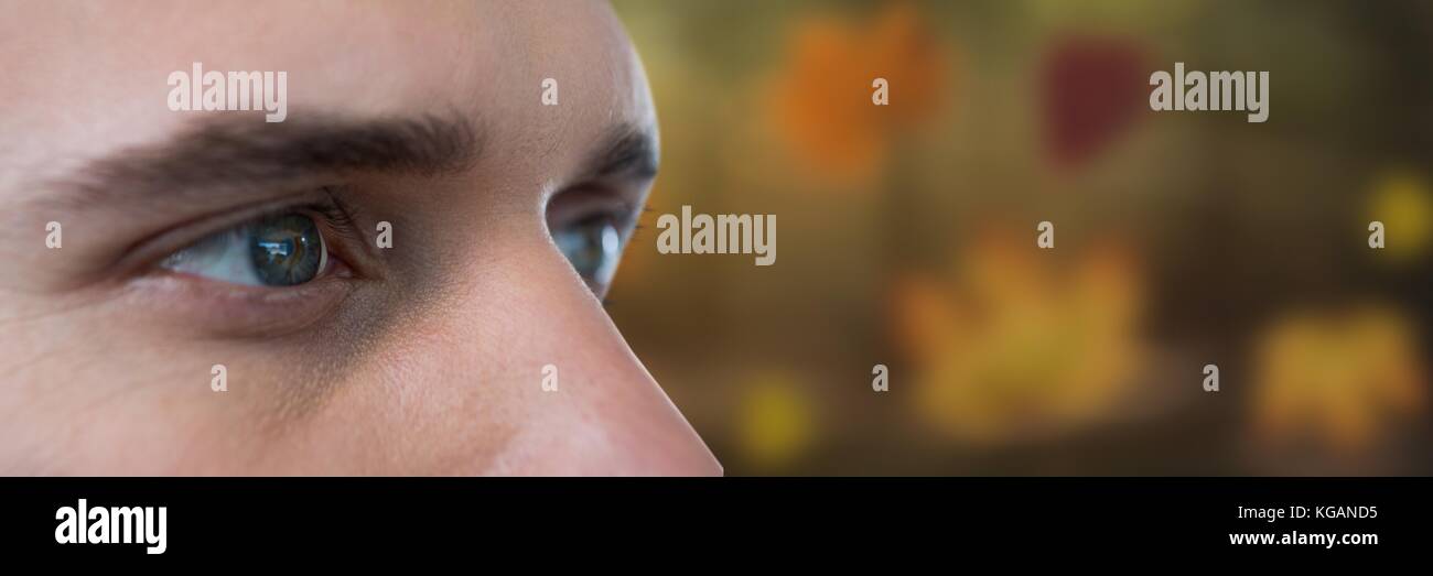 Digital composite of Man's face in forest with leaves Stock Photo - Alamy
